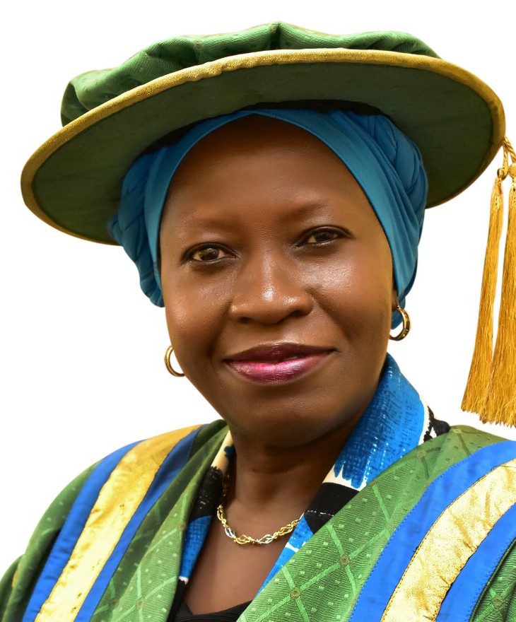 Prof. Akeredolu-Ale Appointed Vice-Rector, PAU - ValidView Network ...